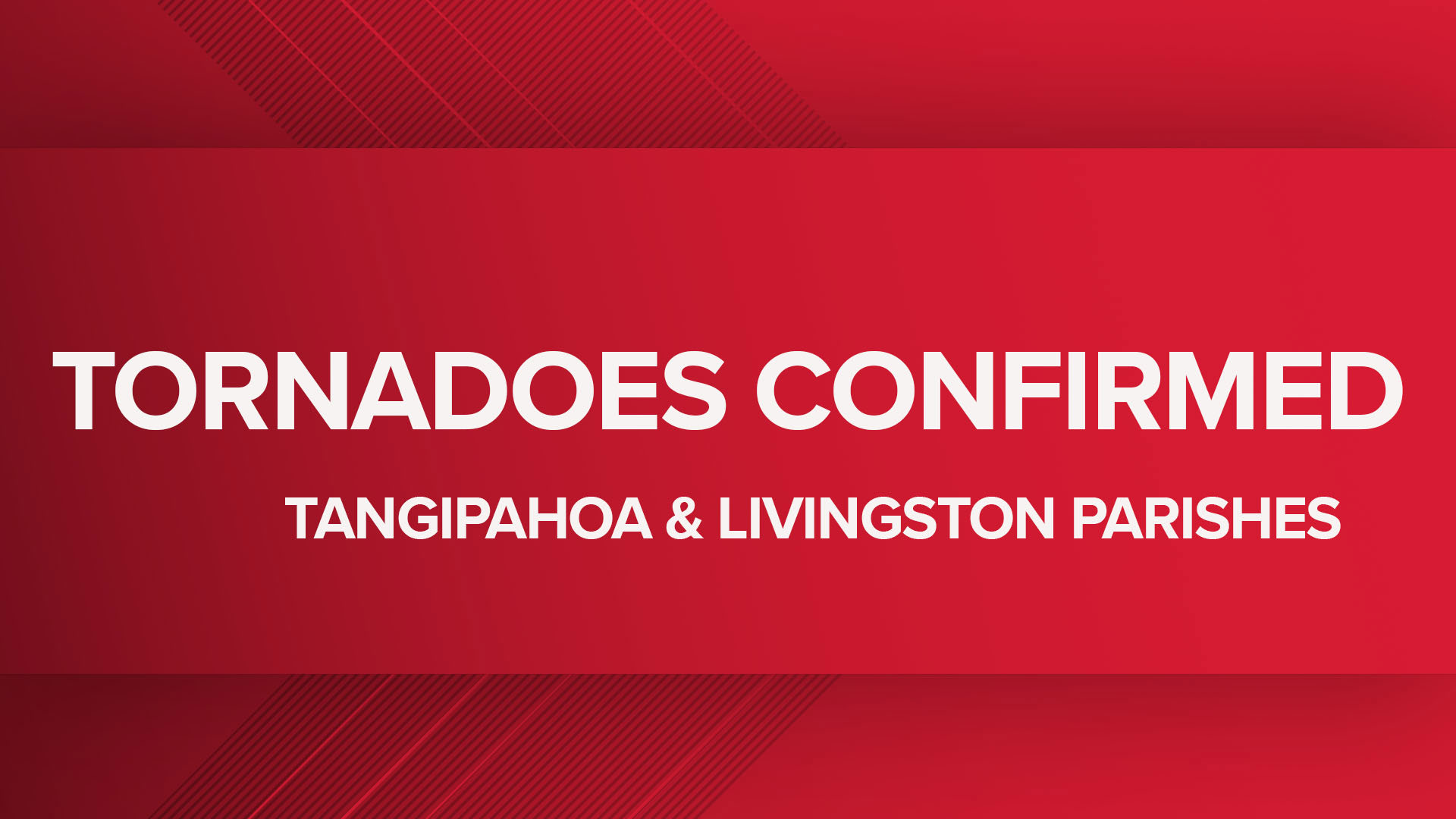 Bishop Checchio named Coadjutor Archbishop of New Orleans | wwltv.com