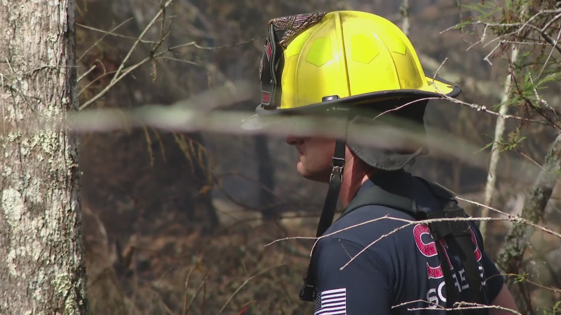 "The fog is not as bad as it was yesterday" | Terrebonne Sheriff gives ...