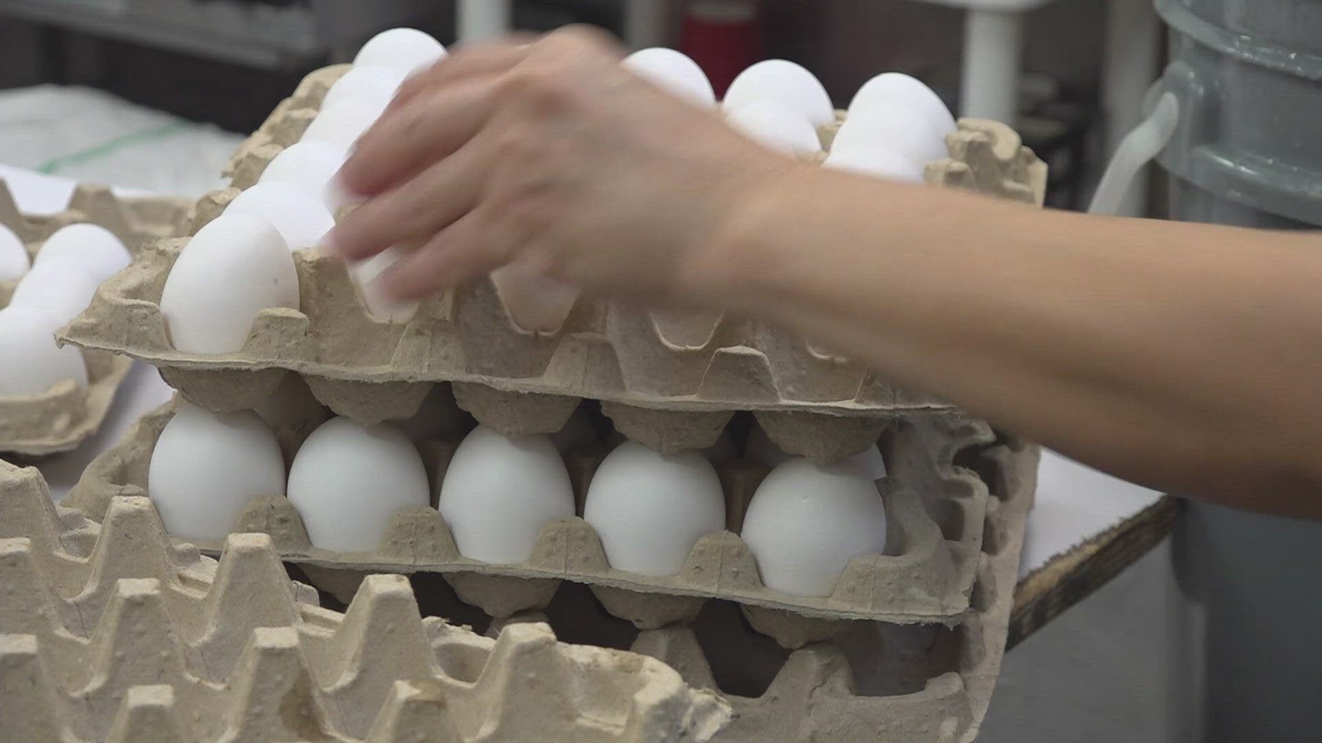 Egg Prices Hit Record High during carnival Season | wwltv.com