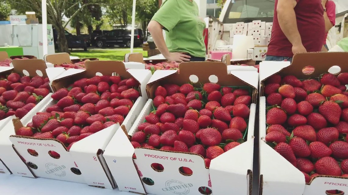 Ponchatoula Strawberry Festival Kicks Off, Runs Through Sunday | wwltv.com