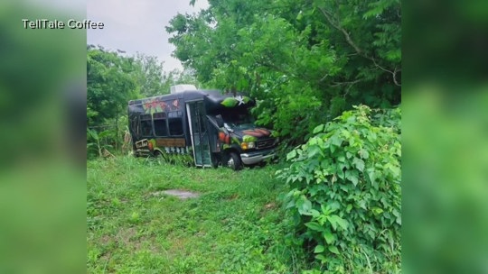 Try Catfish Allison on National Catfish Day | wwltv.com