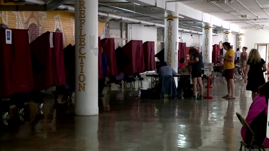 Polls open in Louisiana primary elections; voters consider big races ...