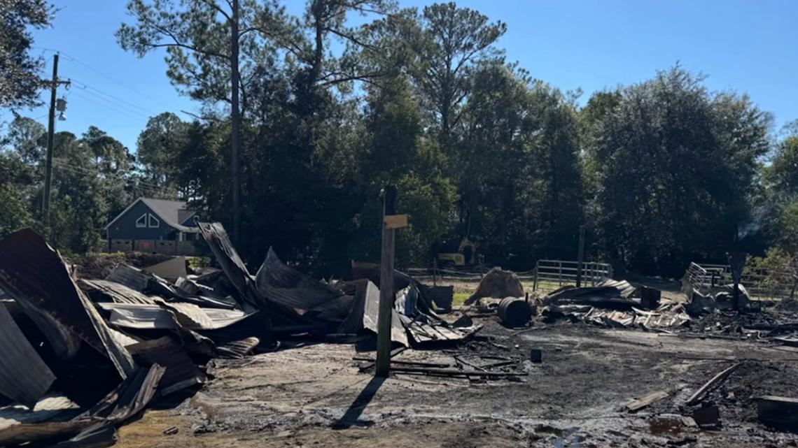 Fire damages barn, 9 horses perish at Lewis Stables in Slidell ...