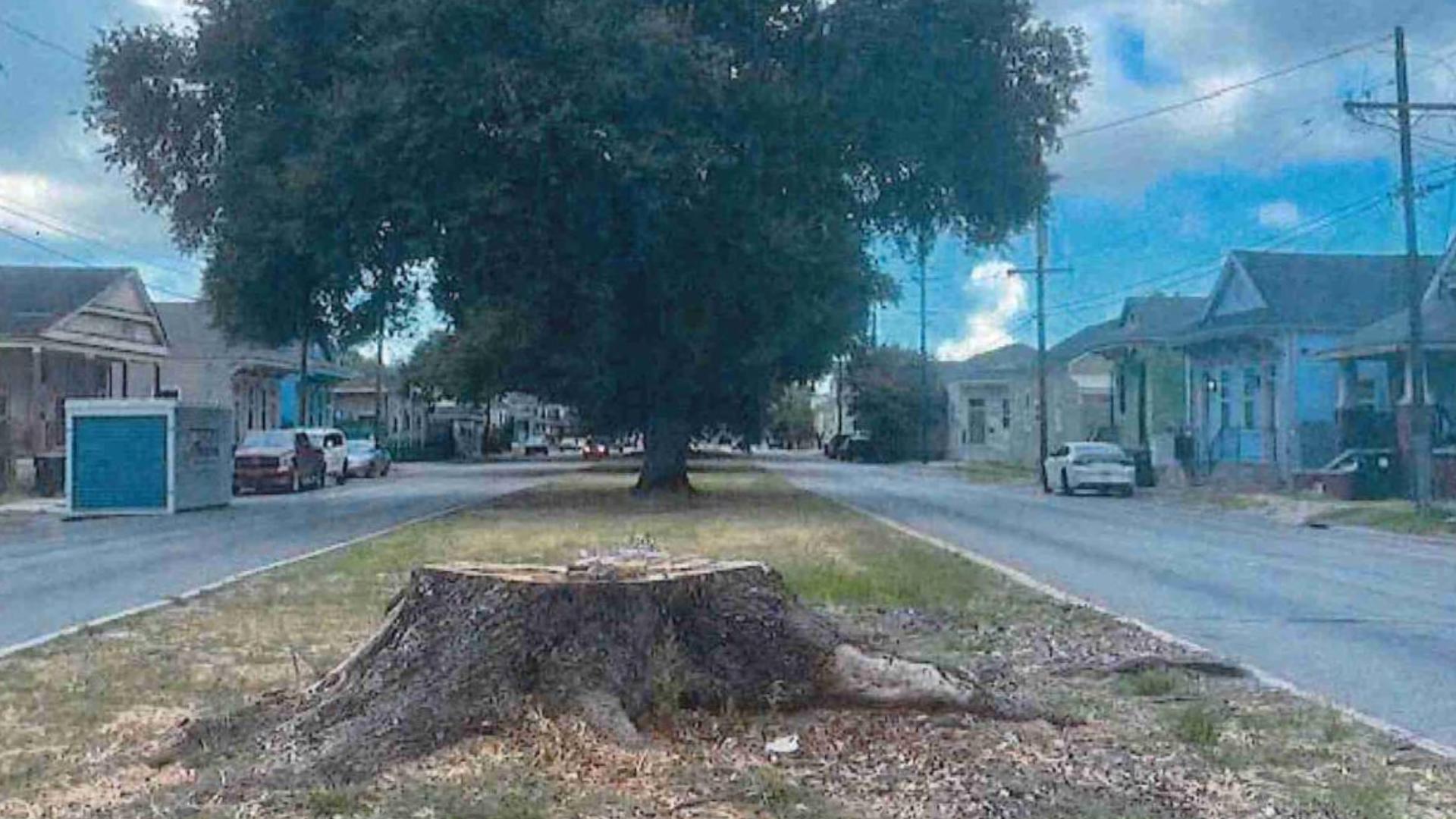 'Why do we let things rot?' | 9 endangered sites in New Orleans | wwltv.com