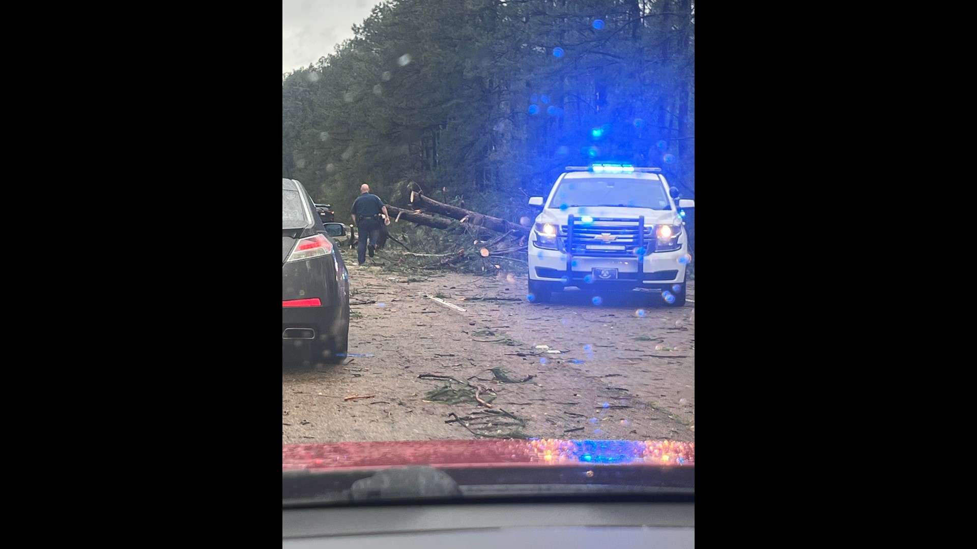 Strong storms sweep across Northshore, leaves fallen trees in wake ...