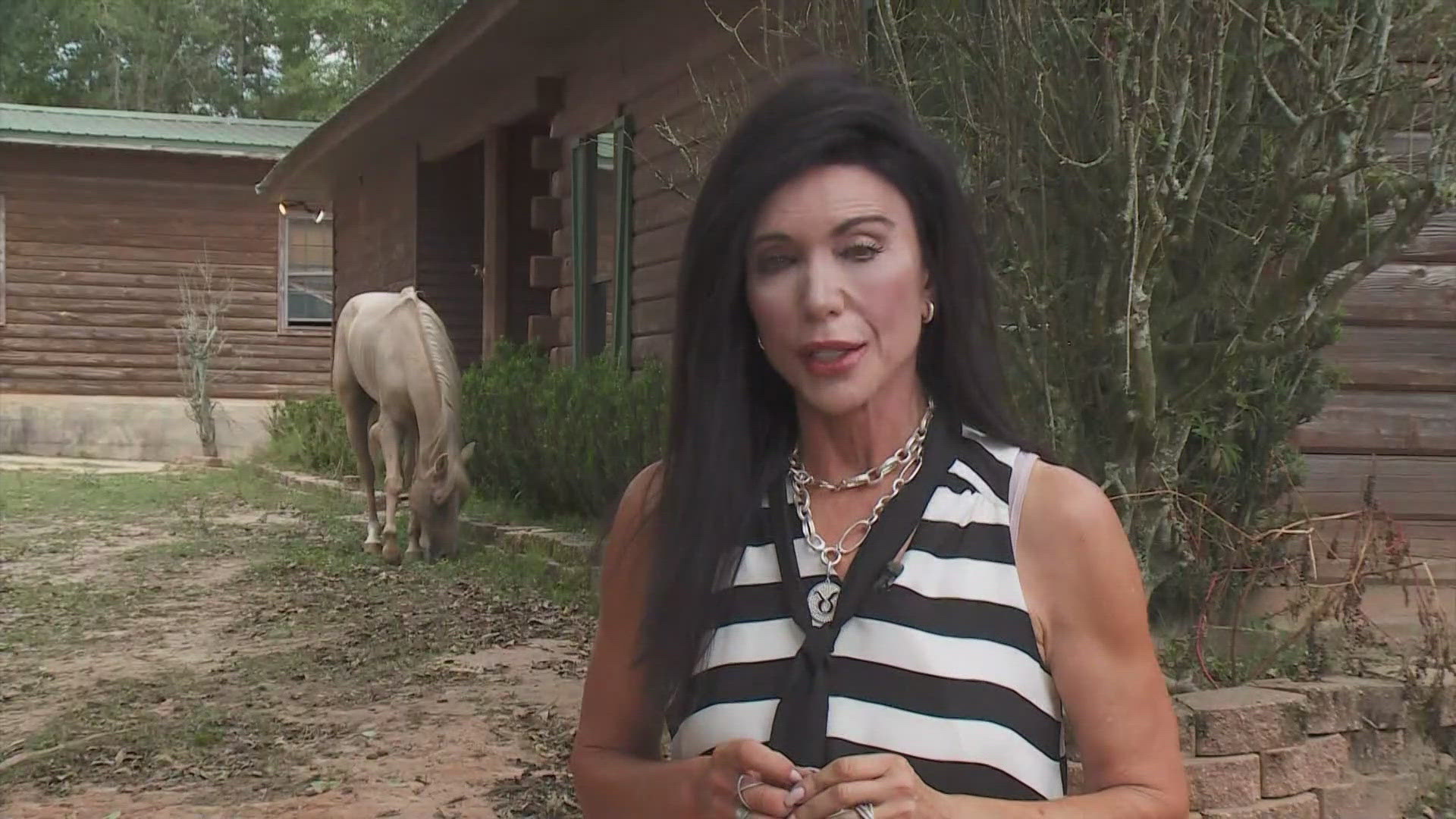 Don Vidrine, BP's rig boss during 2010 disaster, dies | wwltv.com