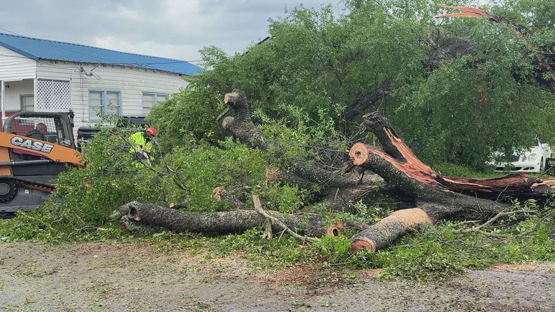 Tree marked for removal crushes home in New Orleans storms | wwltv.com