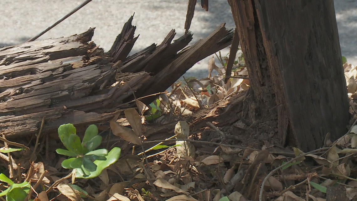 Concerns about damaged utility pole on Magazine Street | wwltv.com