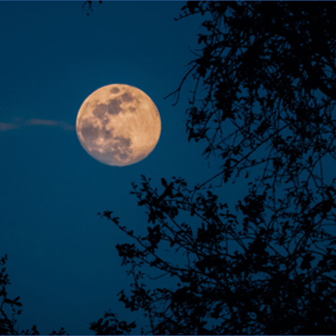 Orleans Parish jail escapee Derrick Groves sentenced in 2018 Mardi Gras ...