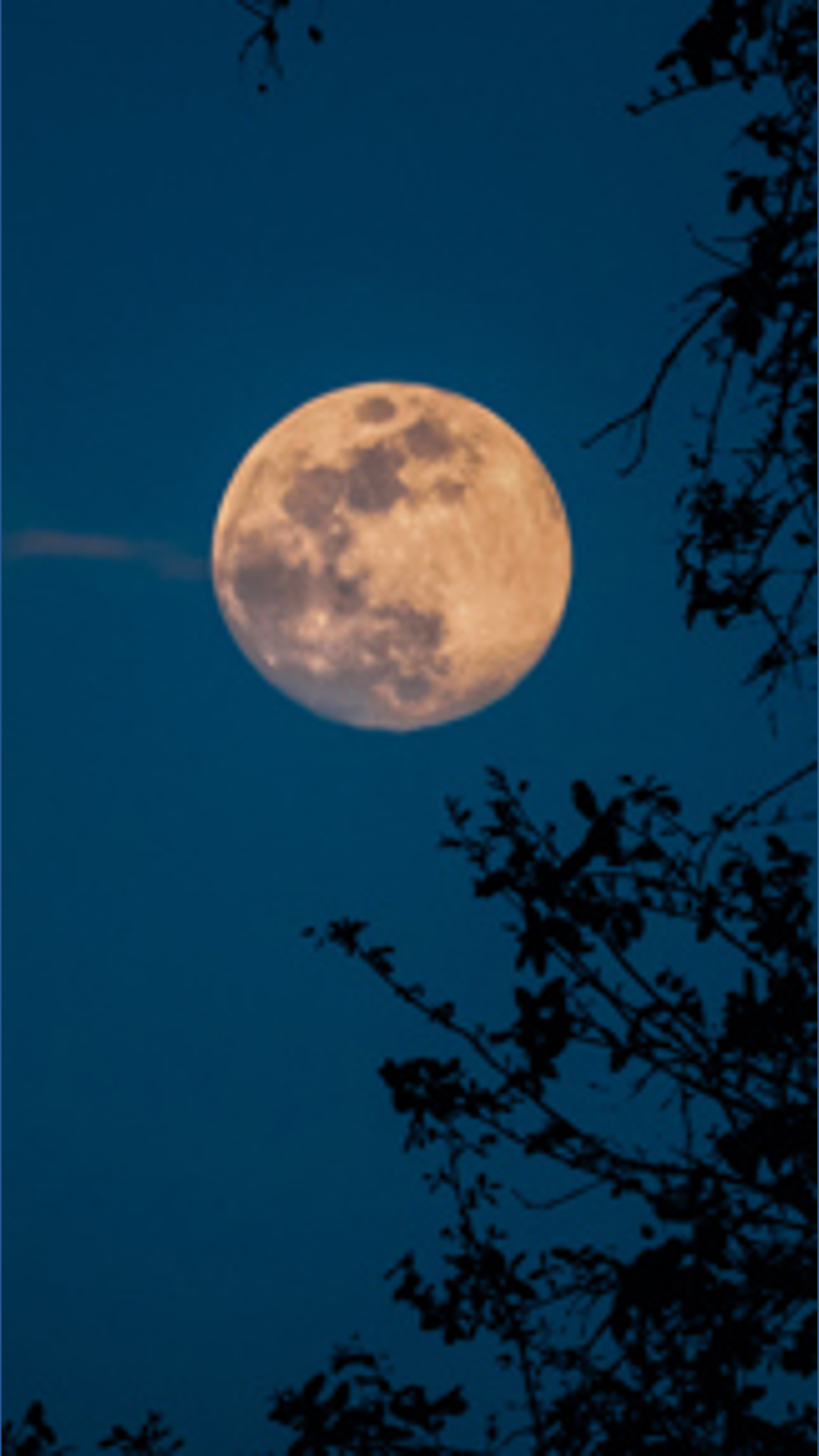 Cantrell vetoes Moreno’s budget as city faces $222M deficit | wwltv.com