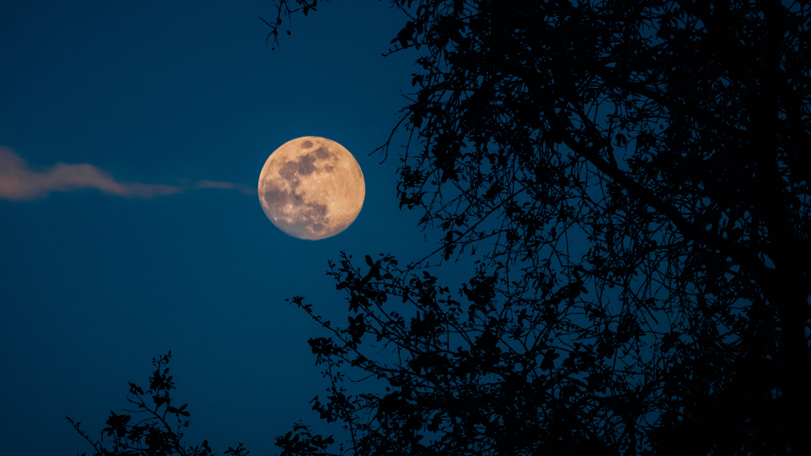 Orleans Parish jail escapee Derrick Groves sentenced in 2018 Mardi Gras double homicide | wwltv.com