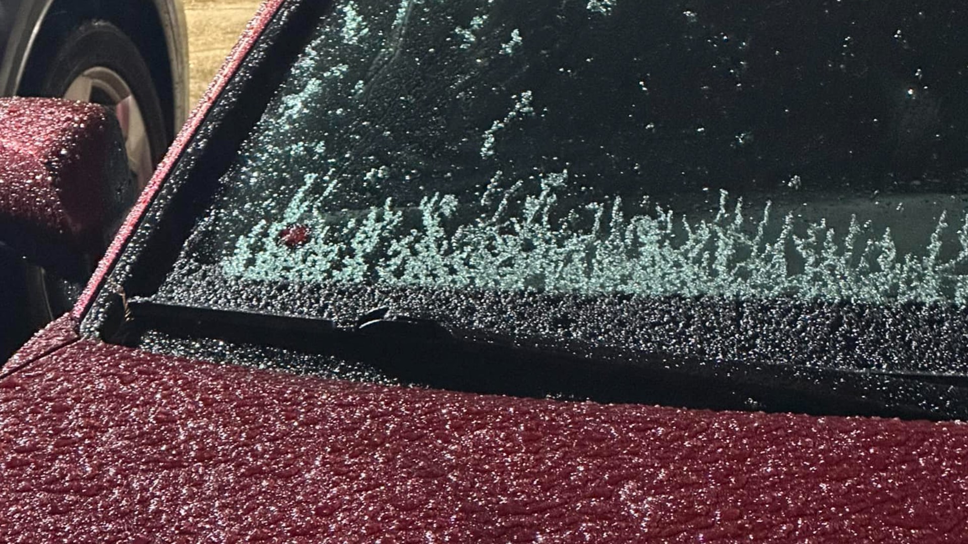Photos + Videos | Louisiana freezing weather | wwltv.com