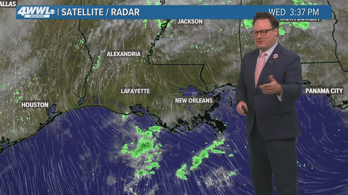 Stinging buck moth caterpillar season has begun early | wwltv.com