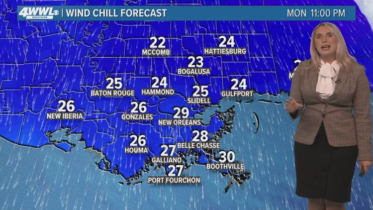 Links seen on WWL Louisiana | wwltv.com