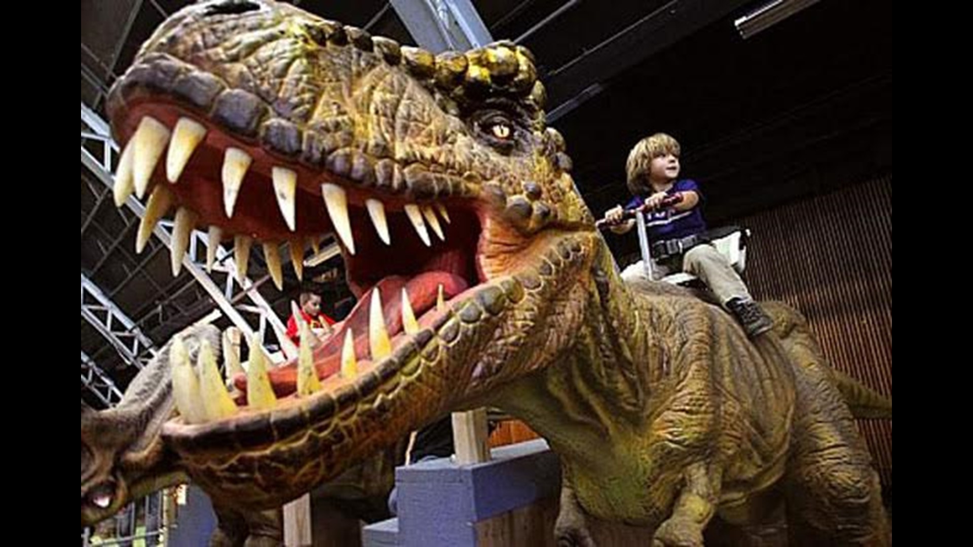 Life-sized dinosaur replicas to come to Jefferson Parish | wwltv.com