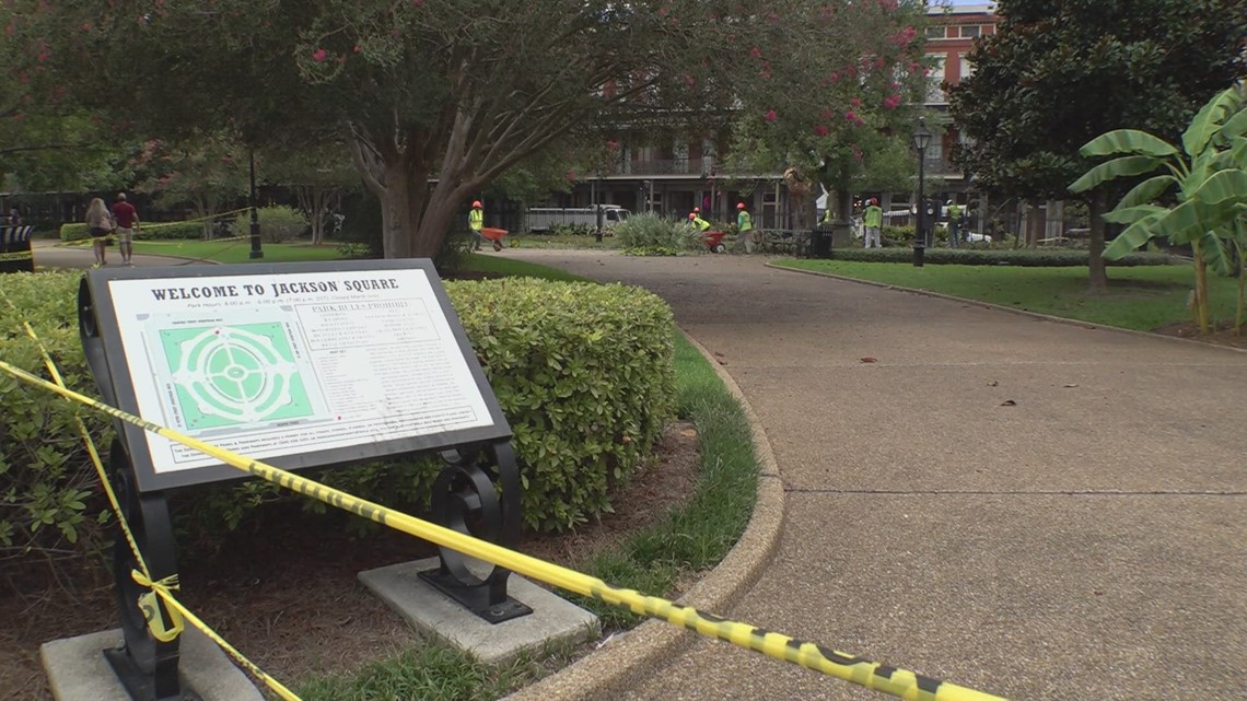 Teen crushed by tree in Jackson Square has serious brain, spinal ...