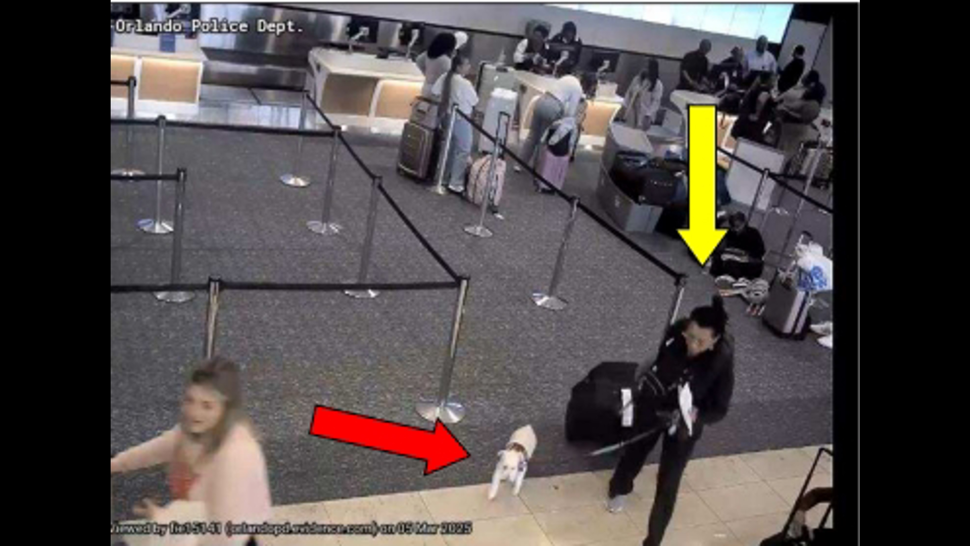 Woman charged after dog drowned in Orlando airport bathroom | wwltv.com