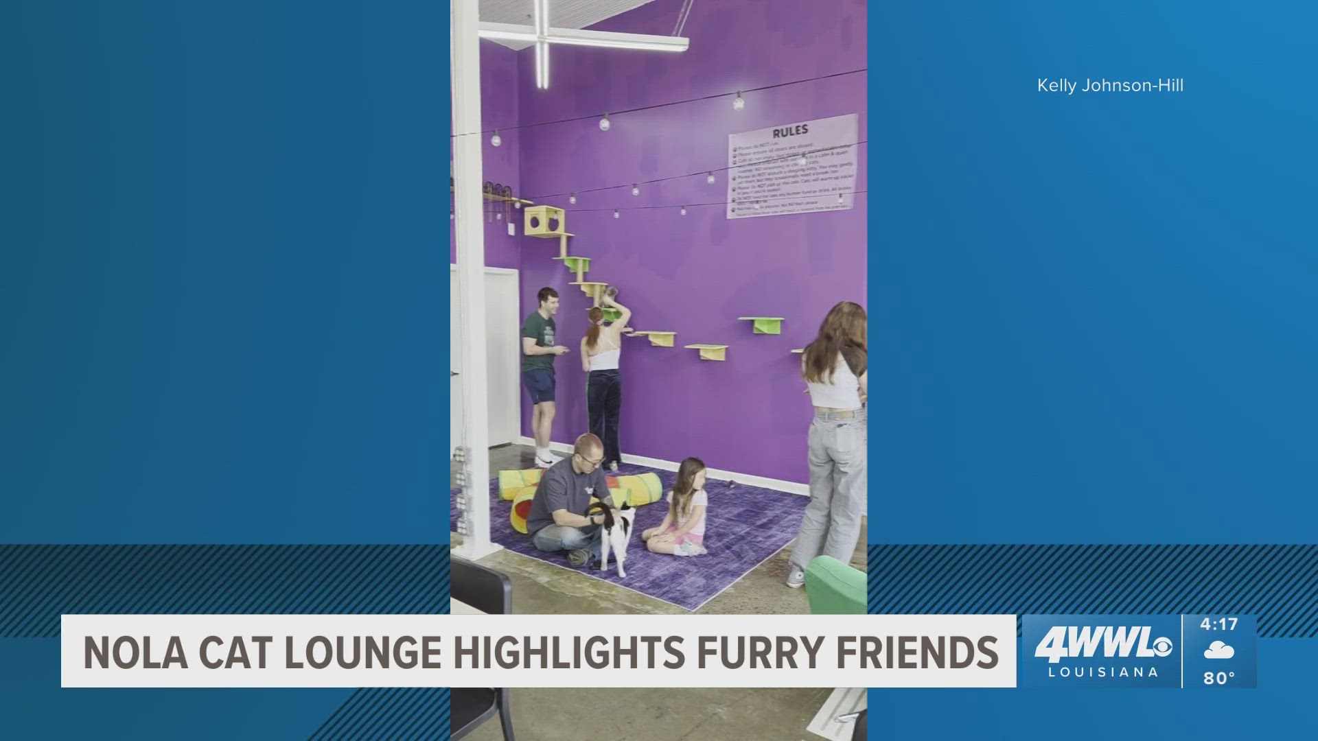 NOLA Cat Lounge opens to sold-out crowd on first day | wwltv.com
