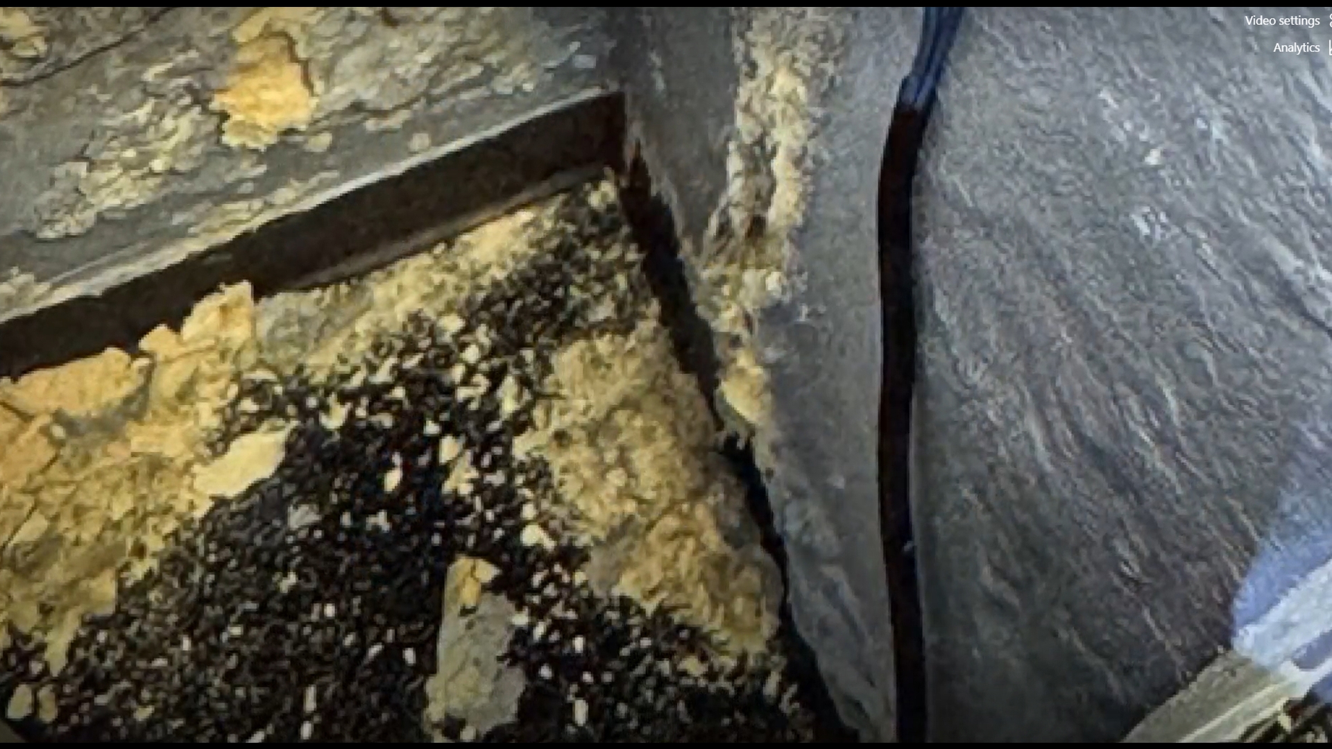 Black mold found in New Orleans Sewerage and Water Board's building ...