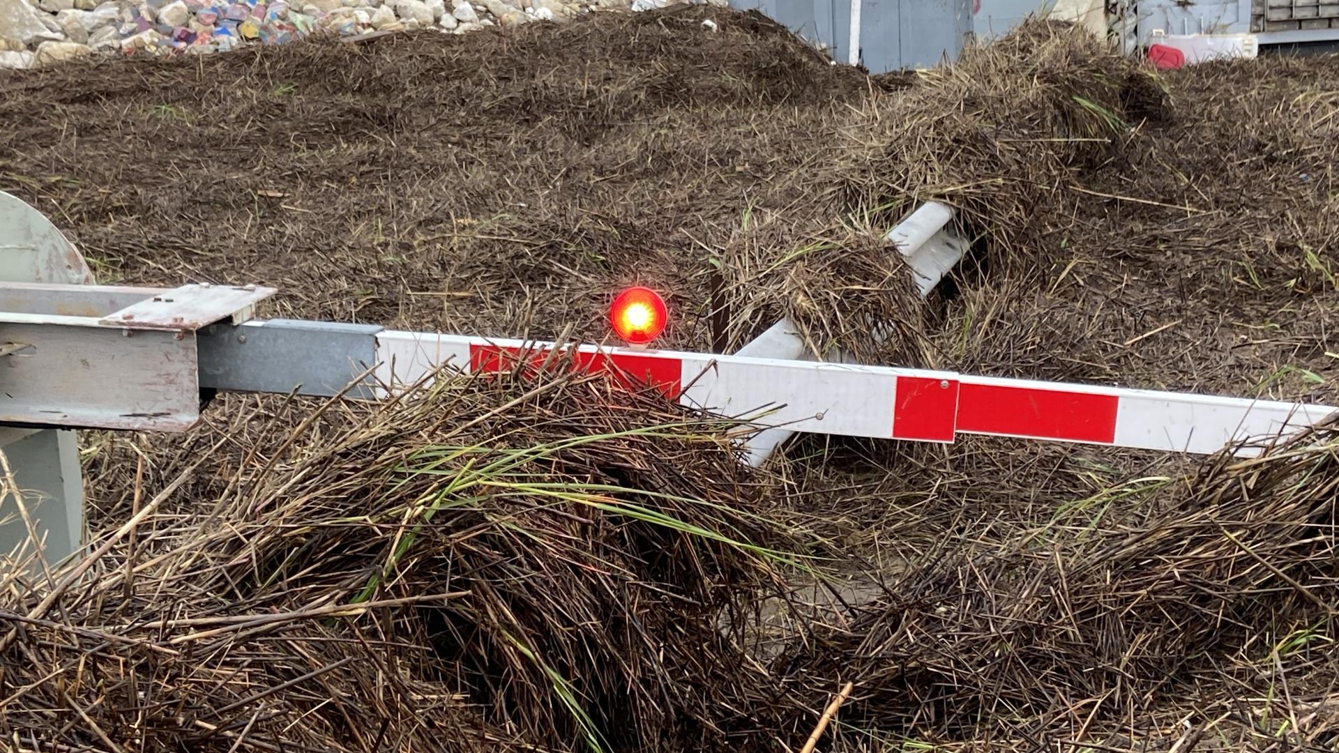 Photos, Videos | Hurricane Francine damage across Southeast Louisiana ...