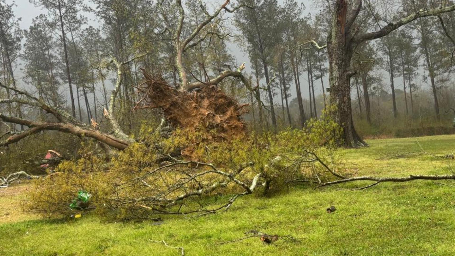 Photos and videos of damage after radar-Confirmed tornado Near Kentwood ...