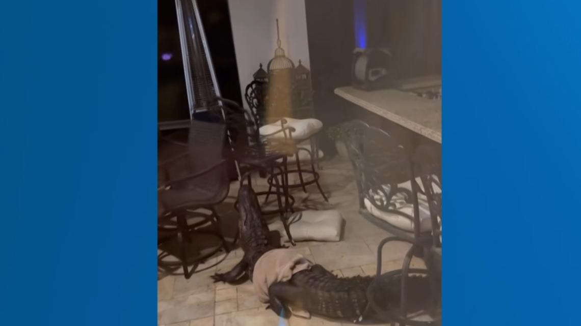 Federal Judge Halts Execution of Louisiana Death Row Inmate Jessie Hoffman | wwltv.com