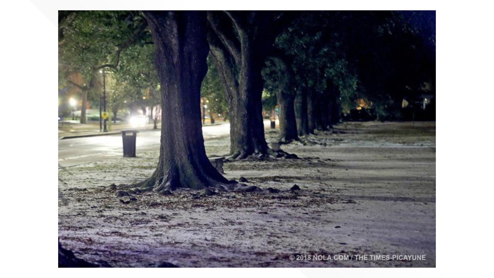 Snow Days in New Orleans: A Look Back | wwltv.com