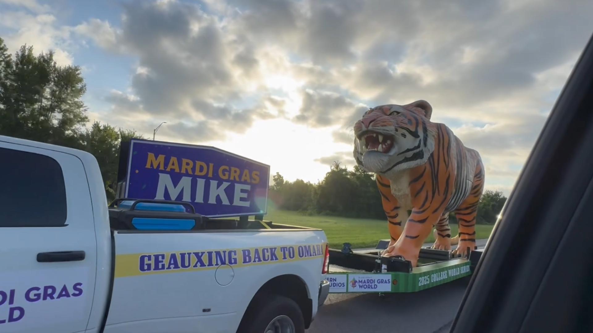 LSU brings Mardi Gras Mike to College World Series in Omaha | wwltv.com