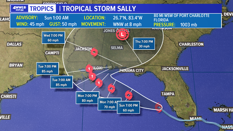 Hurricane from WWL in New Orleans | New Orleans, LA | wwltv.com