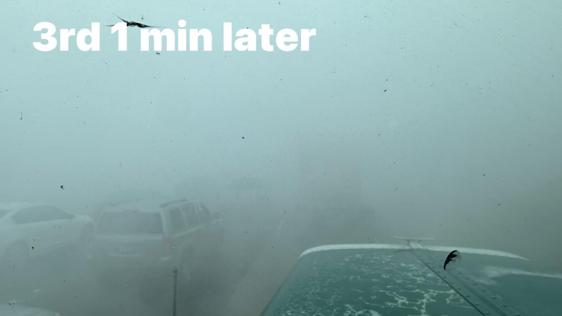 Dramatic photos show that during intense fog, a few feet can make a ...