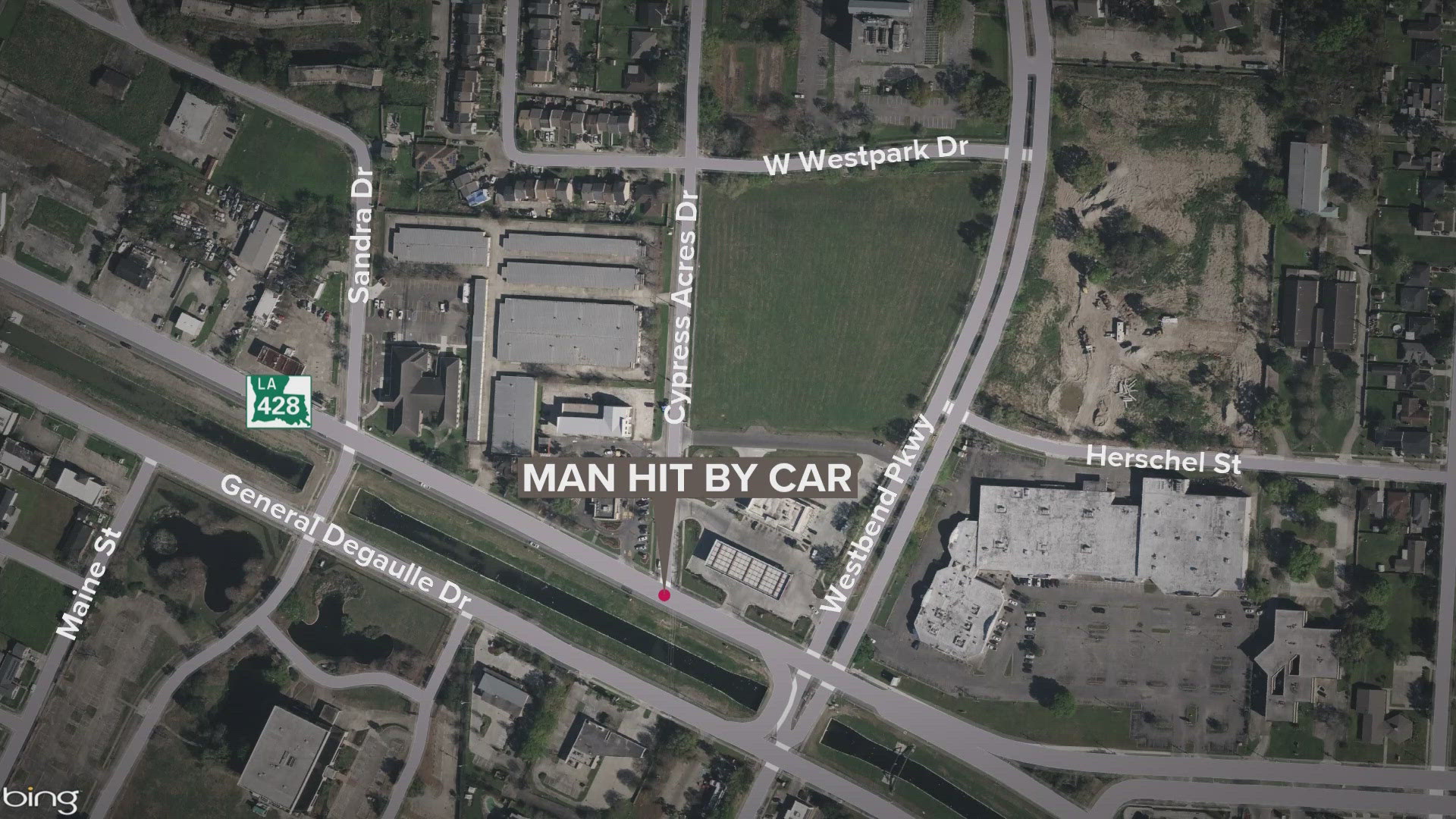 Man killed after running into roadway in Algiers, NOPD says | wwltv.com