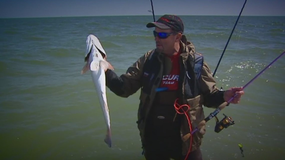 Fishing reef honors pilot and conservationist Theophile Bourgeois ...