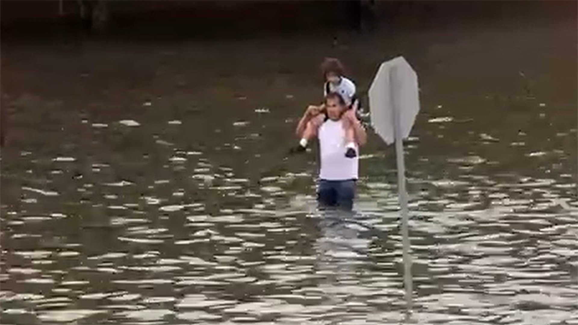 Try Catfish Allison on National Catfish Day | wwltv.com