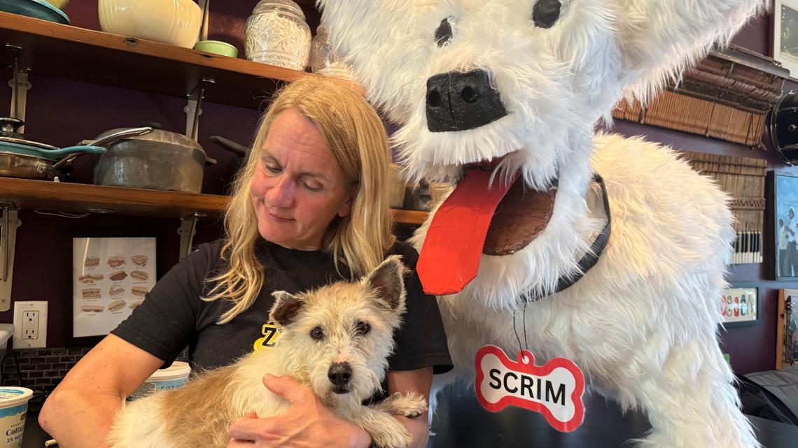 Runaway Dog Scrim Captured in New Orleans After Months on the Run ...