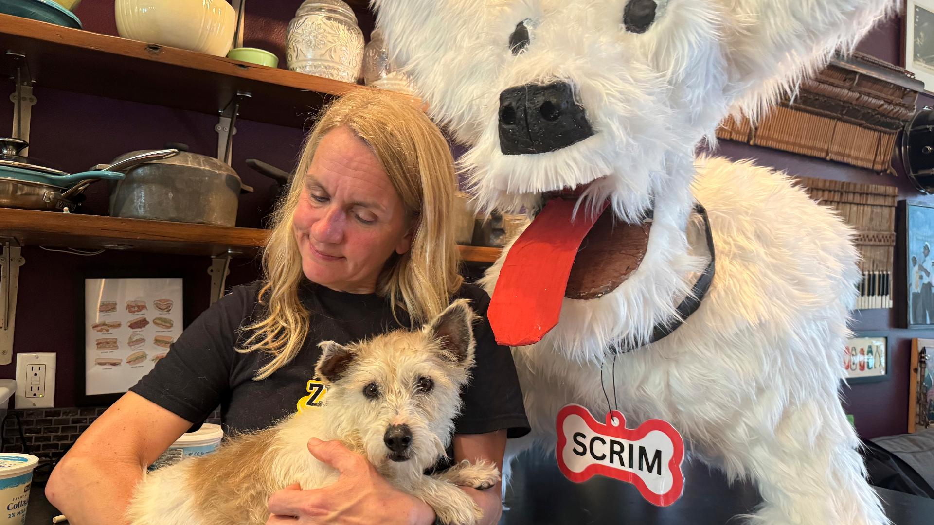 Scrim the Escape Artist Dog Honored by Mardi Gras Krewes | wwltv.com