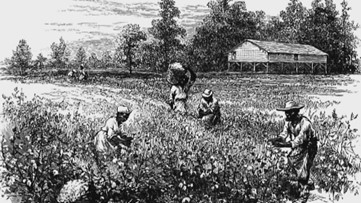 My54 WUPL-TV | WWLTV.com