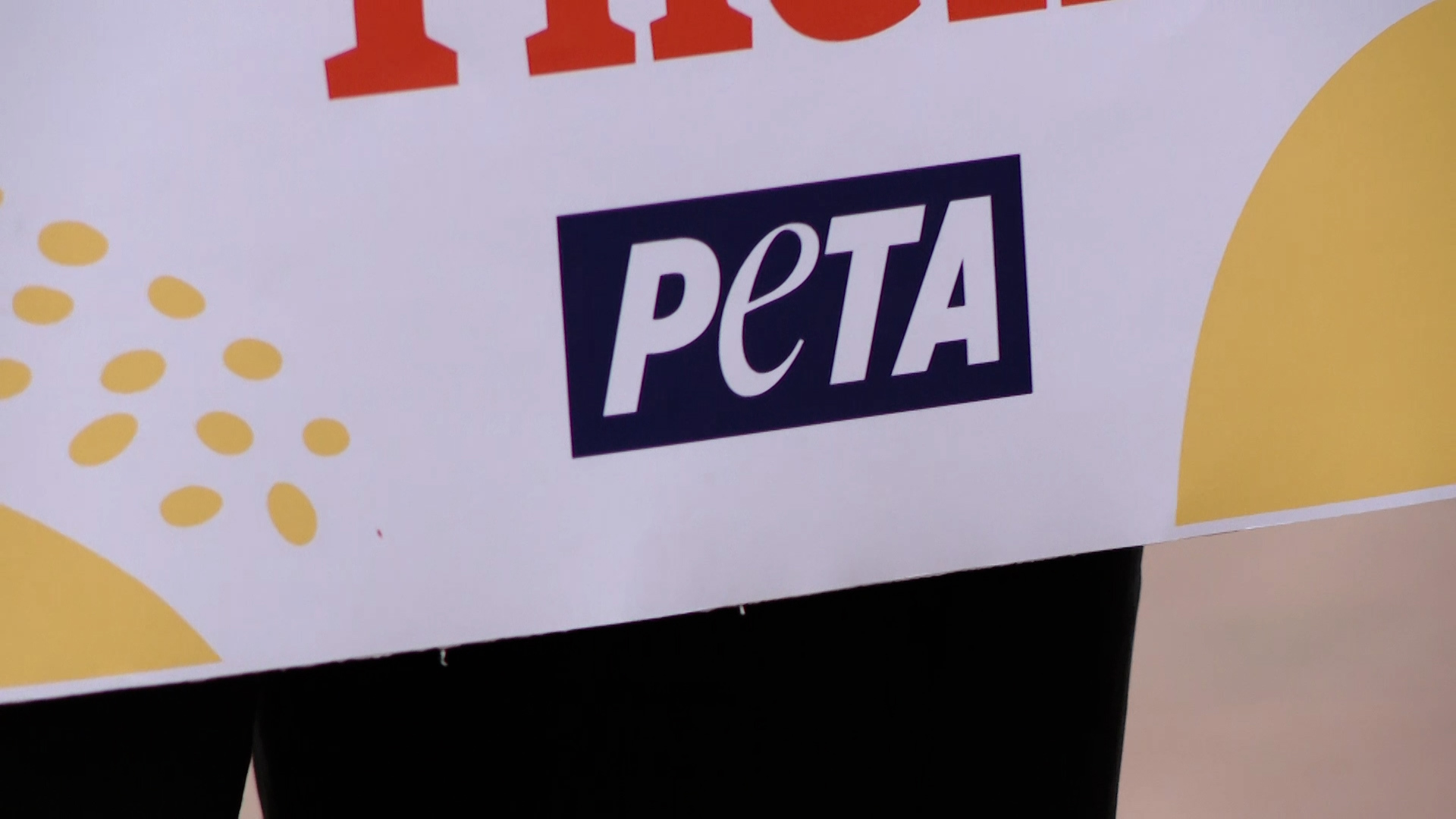 PETA protests use of cicadas as dining option on café menu | wwltv.com