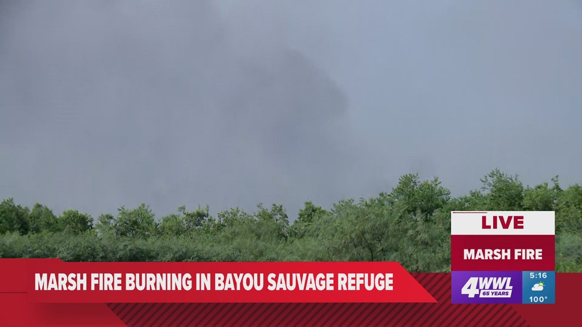 Marsh fire burns in Bayou Sauvage Refuge | wwltv.com