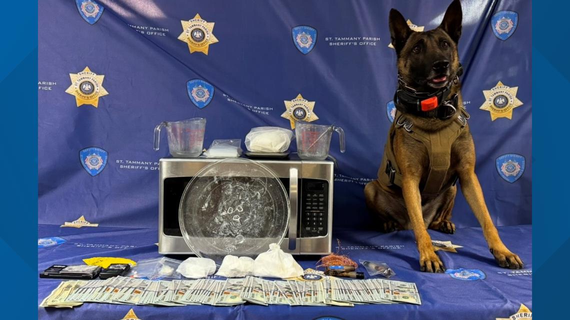 Sheriff: Traffic stop uncovers crack lab, cocaine, and $12K in ...