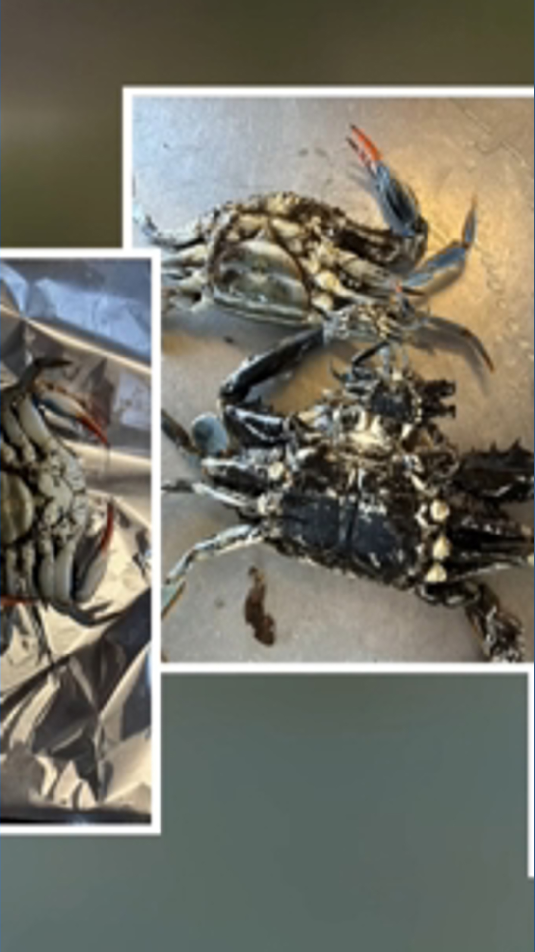 'Hardly nothing': Louisiana shrimpers blame LOOP oil spill for rough ...
