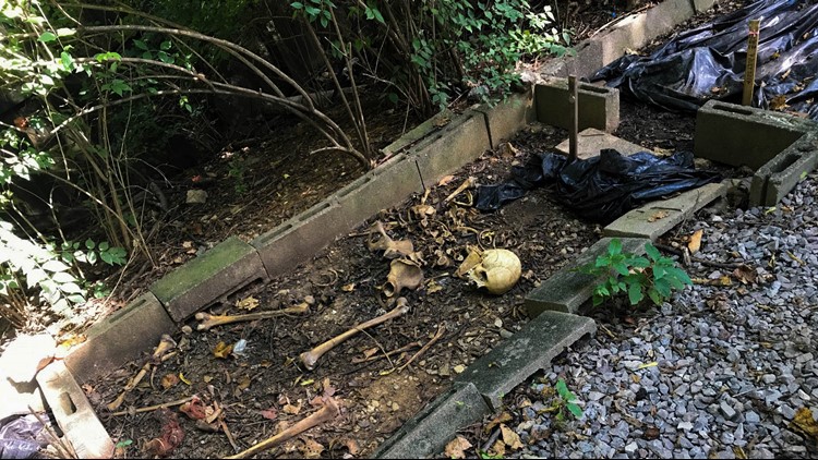 Inside The Body Farm: The dead do speak | wwltv.com